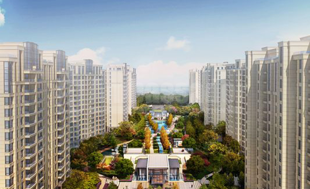 Apartments, Houses, Serviced Apartments in Shanghai | Ambassador